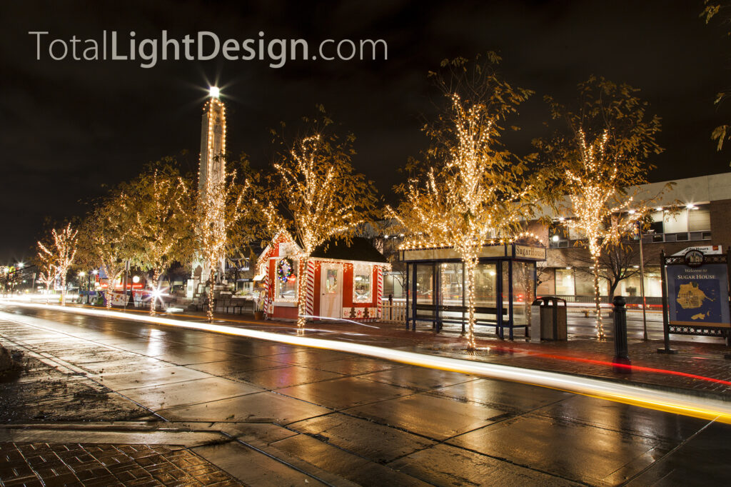 Professional Holiday Christmas Lights Installation Services