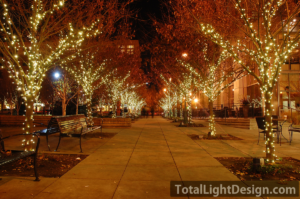 Professional Holiday Christmas Lights Installation Services